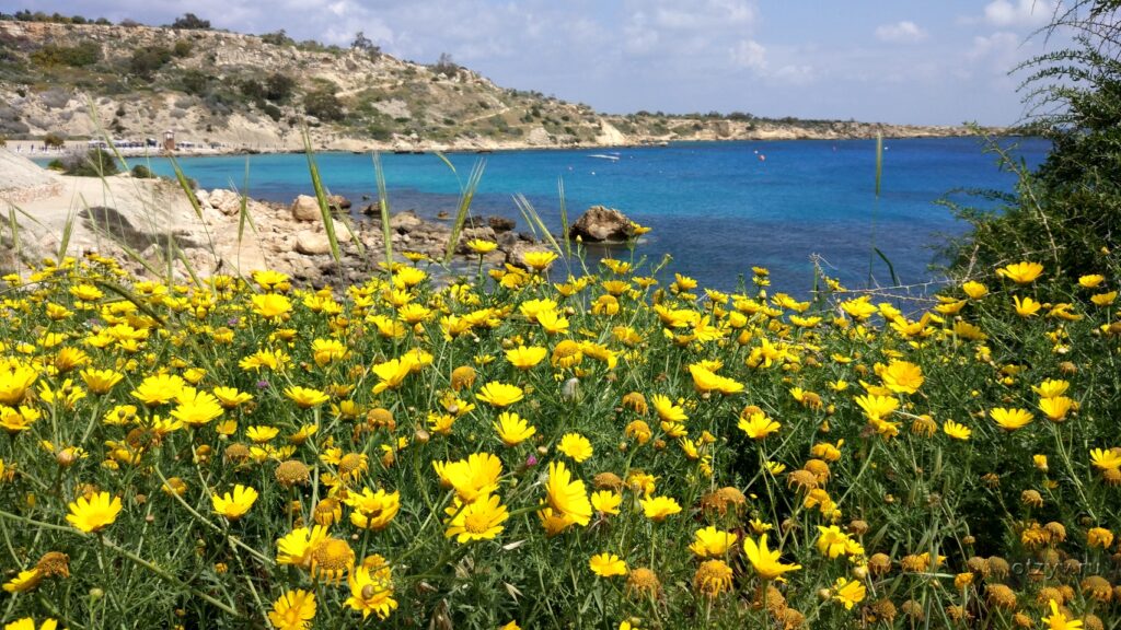 Best time to visit Cyprus: best conditions and list of outdoor ...