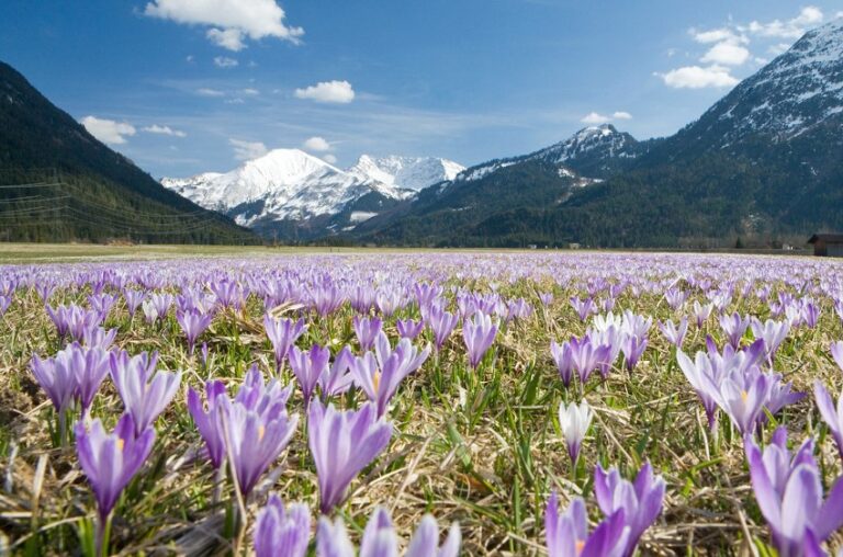 Best Time To Visit Austria: Top Travel Guide & Tips